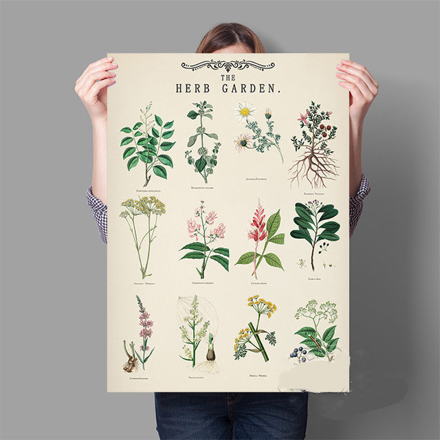 Vintage Herb Garden Botanical Education Poster Wall Art Print – Ioaao