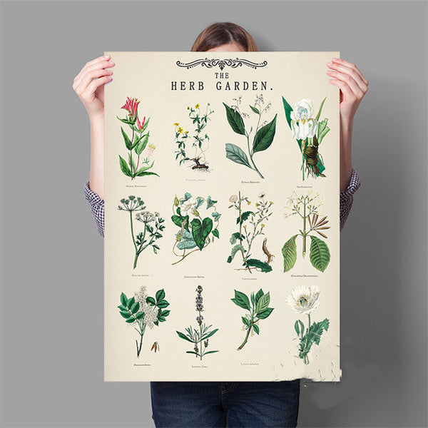 Vintage Herb Garden Botanical Education Poster Wall Art Print – Ioaao