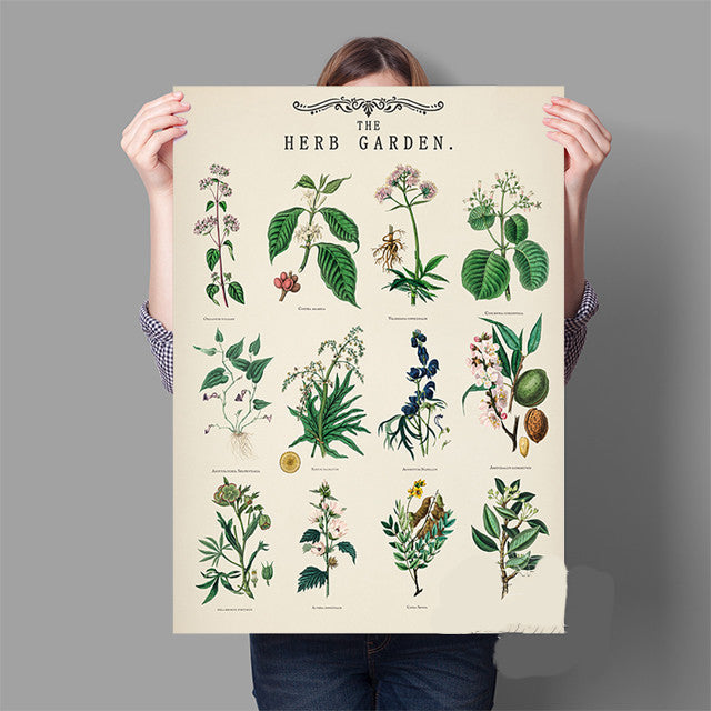 Vintage Herb Garden Botanical Education Poster Wall Art Print – Ioaao